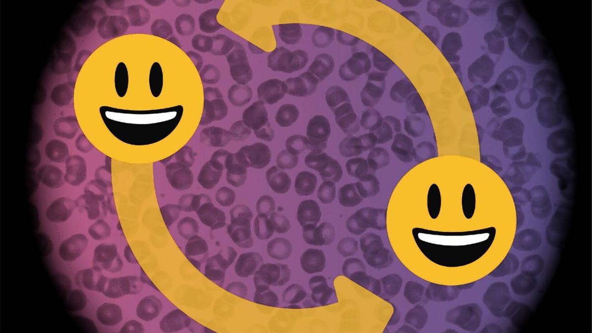 Dar es recibir, por Manel Esteller