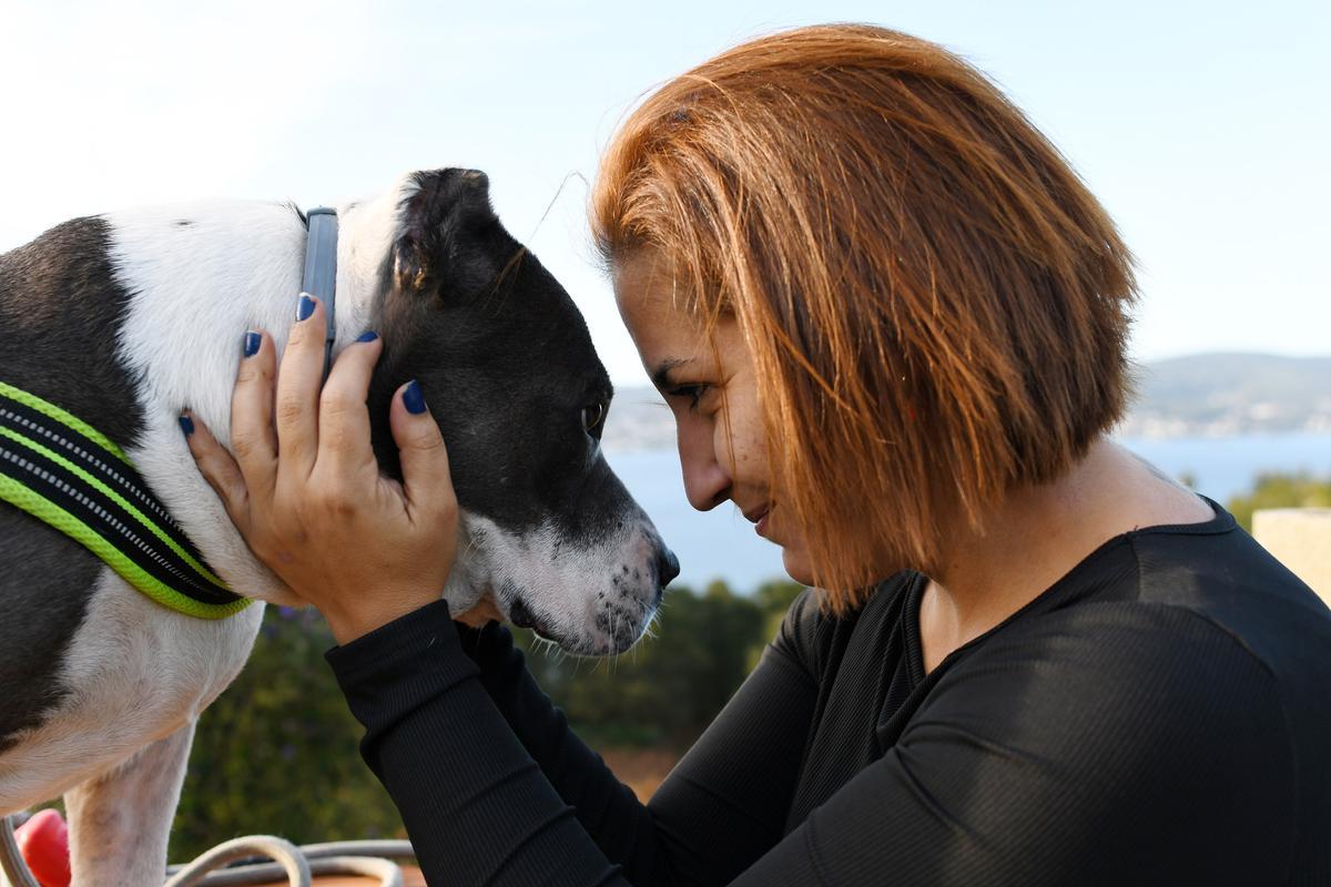 MASCOTAS PERROS SORDOS: Sordos, sí, pero igual de adorables (o más)