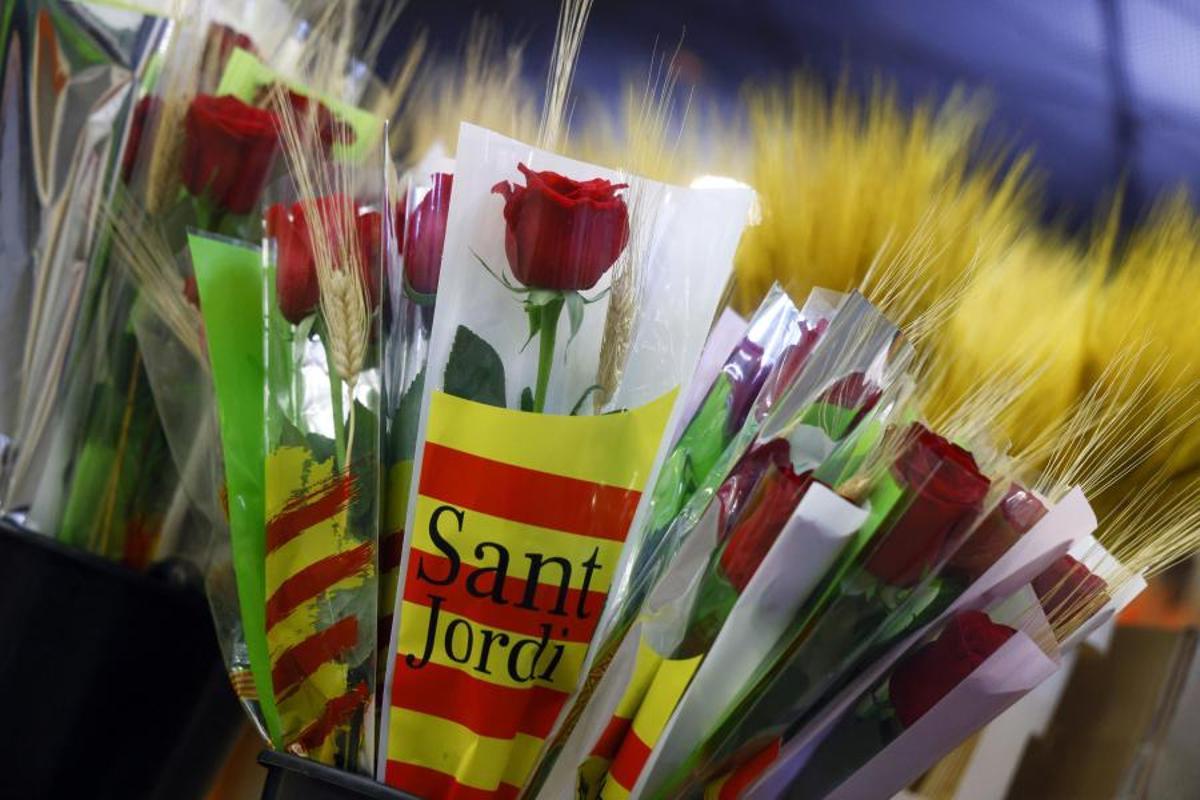 Sant Jordi 2026 en Tarragona: actividades, horarios y paradas de libros ...