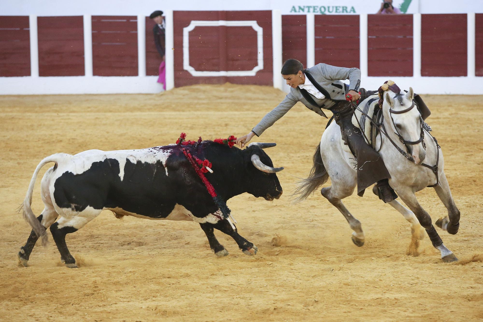 Las imágenes de la corrida de rejones en la plaza de toros de Antequera ...