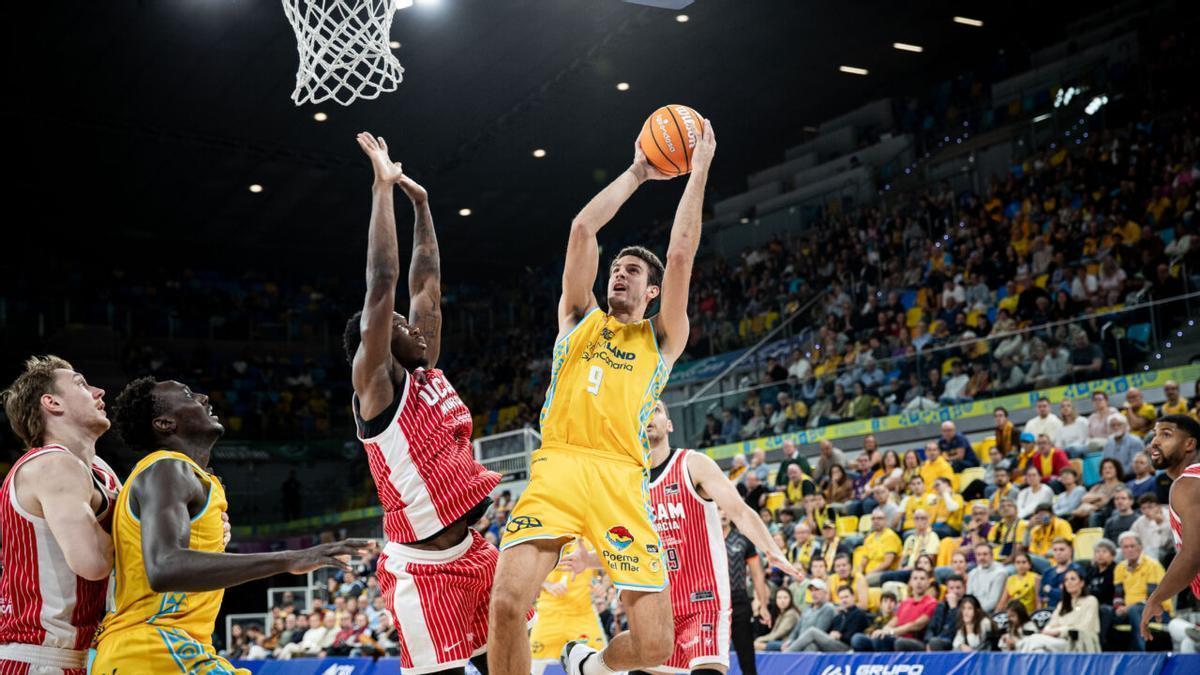 CB GRAN CANARIA | Brussino, alero del CB Gran Canaria: "El partid del ...