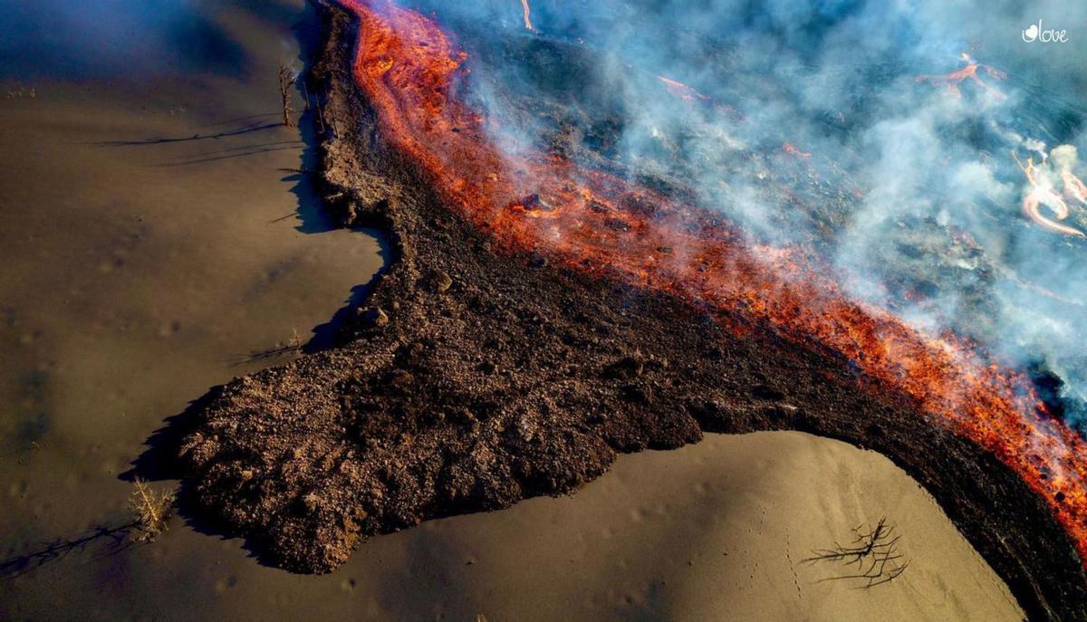 AYUDAS DAMNIFICADOS VOLCÁN LA PALMA: ‘Las otras historias del volcán ...