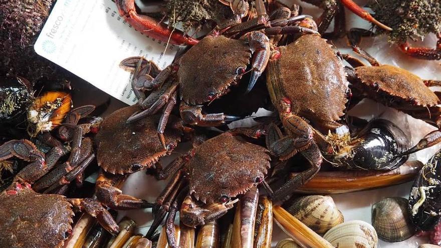 Una mariscada para celebrar la llegada de un nuevo miembro familiar ...