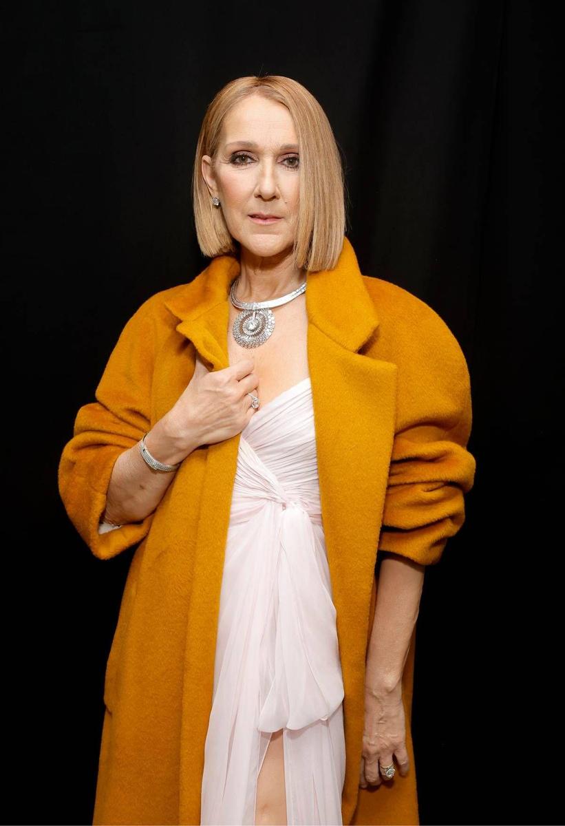 Celine Dion Celine Dion Reaparece Por Sorpresa Tras Dos Años Alejada