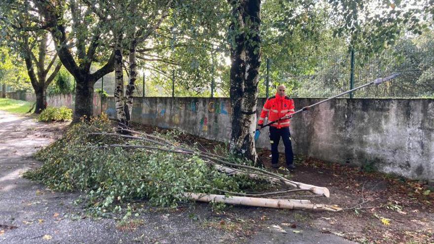 A Estrada registra en un día 20 incidencias causadas por la borrasca ...
