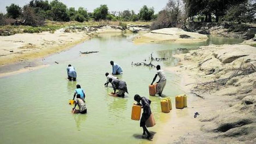 Lago Chad: el desastre silenciado - Diario de Ibiza
