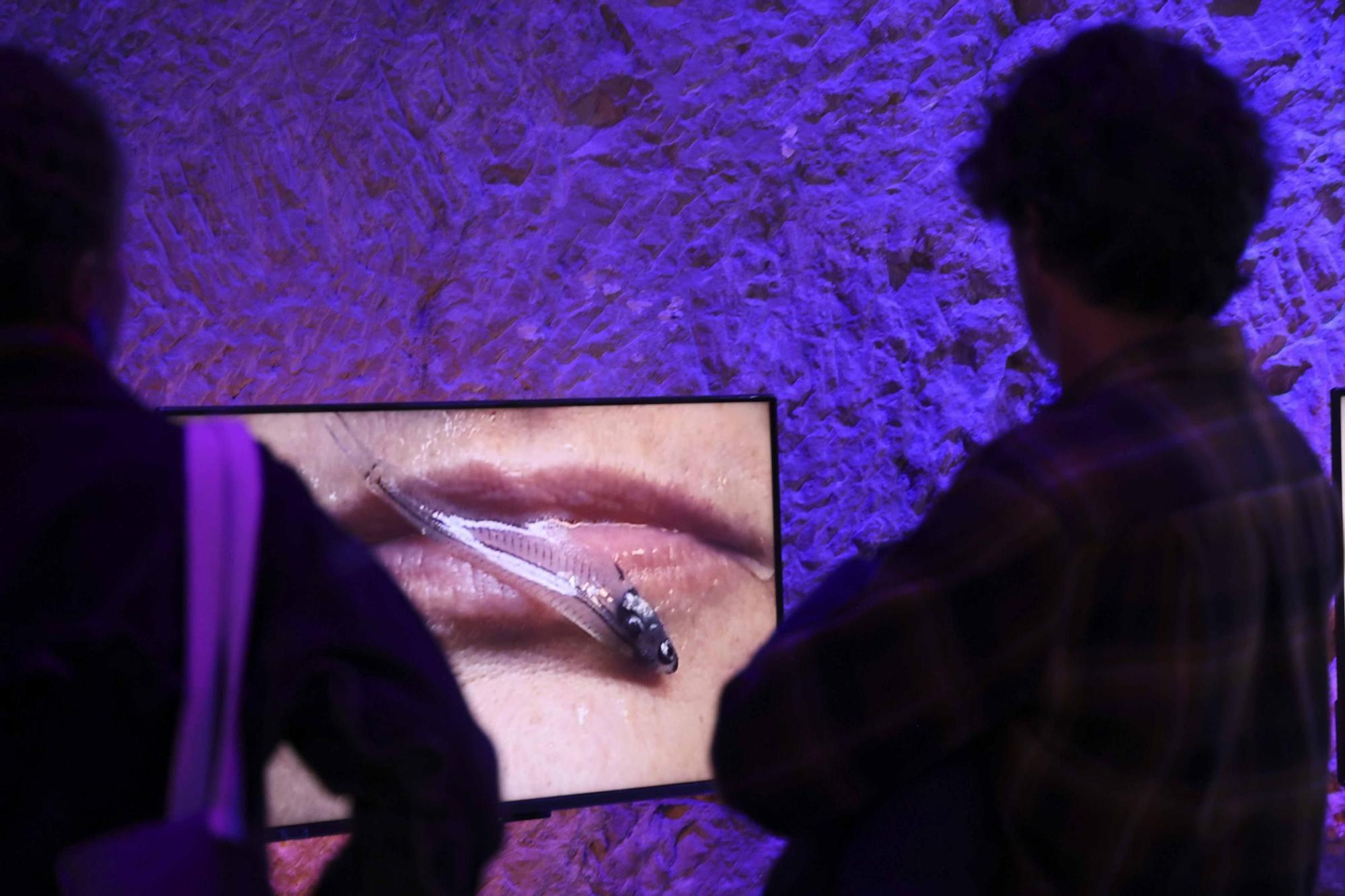 La artista costarricense Karla Solano instala "Origen" en la nueva sala ...