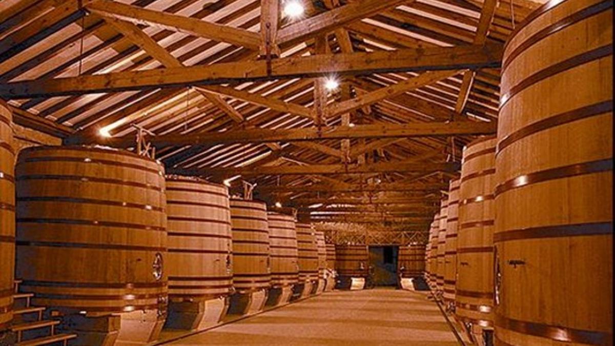 En el vino está la rentabilidad