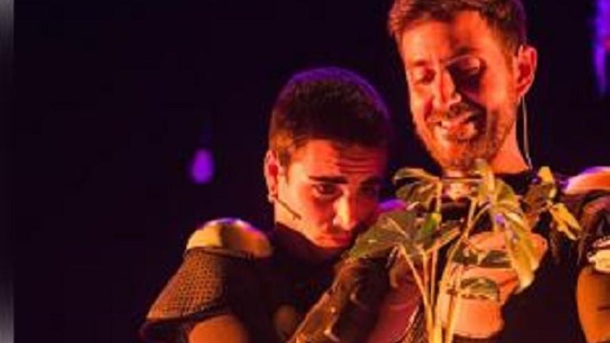 El recolector de momentos felices