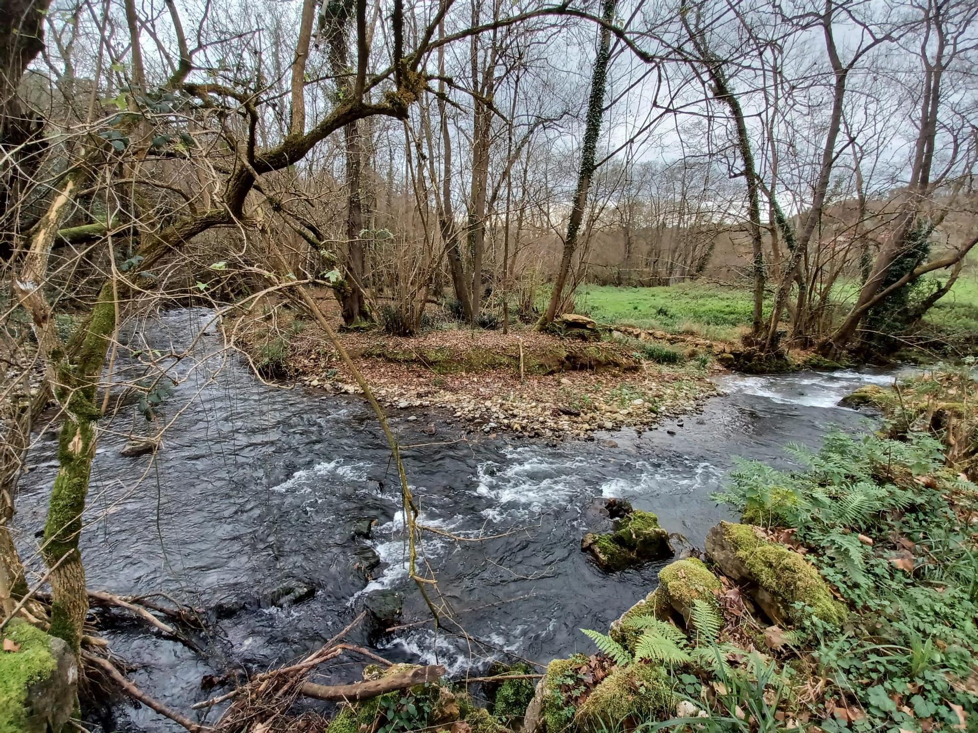 La ruta del bosque viejo de Báscones, un baño de historia y naturaleza ...
