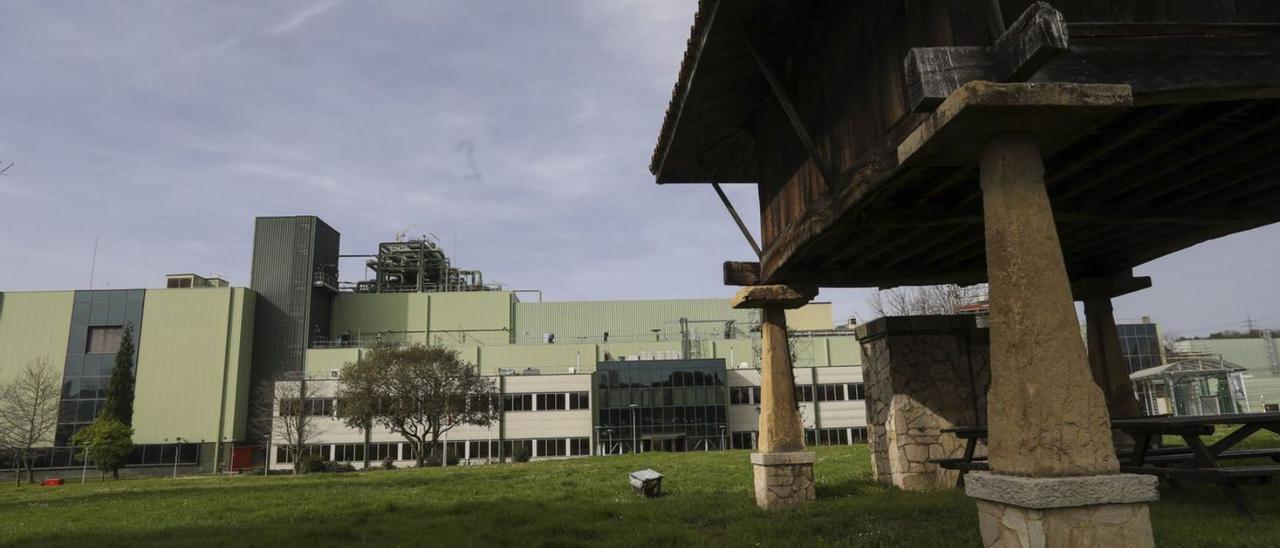 La estadounidense Celanese se implantará en el valle de Tamón de la ...