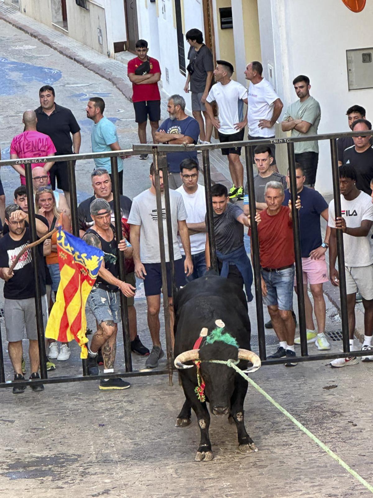 Quartell despide sus fiestas patronales