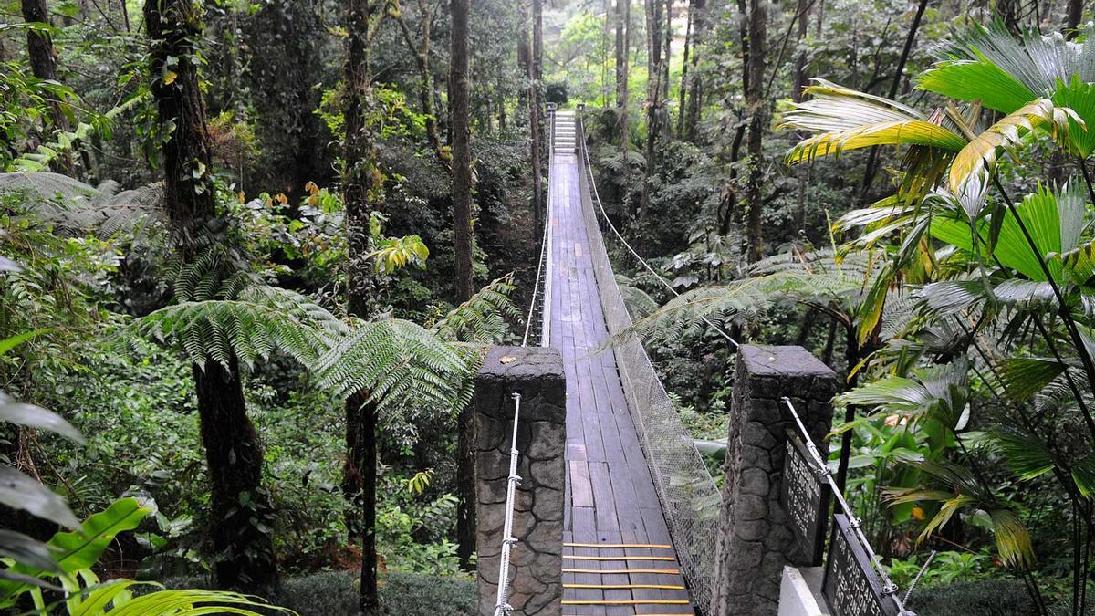 Costa Rica activa y pura - Viajar