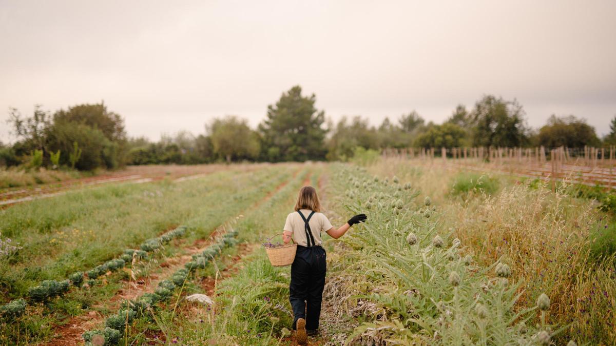 El restaurante HIBA aterriza en este Bar Secreto de Ibiza con un pop-up ...