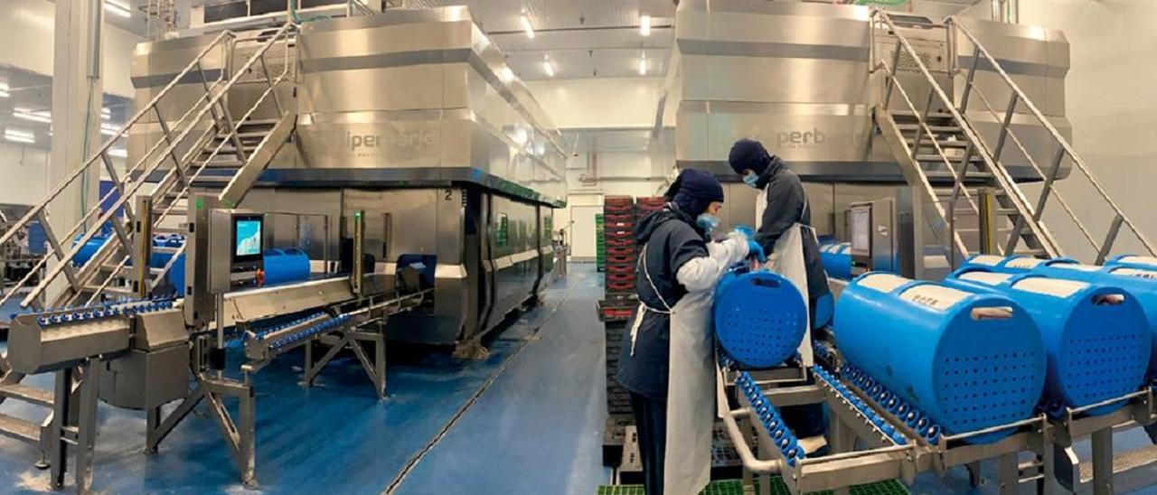 Profand recoge los frutos de su expansión y acelera el ‘sorpasso’ en ...