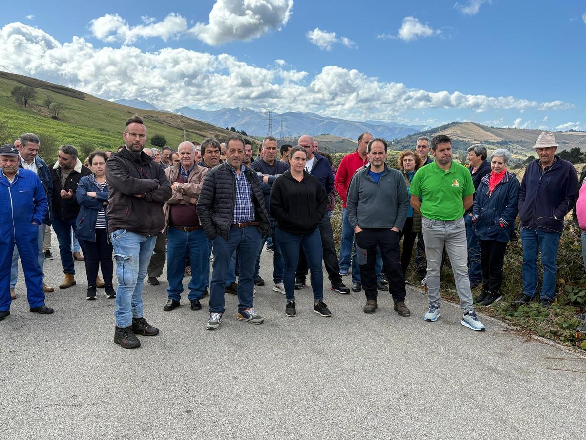 ATAQUE GANADO SALAS TINEO: Ganaderos de Tineo y Salas, al límite por ...