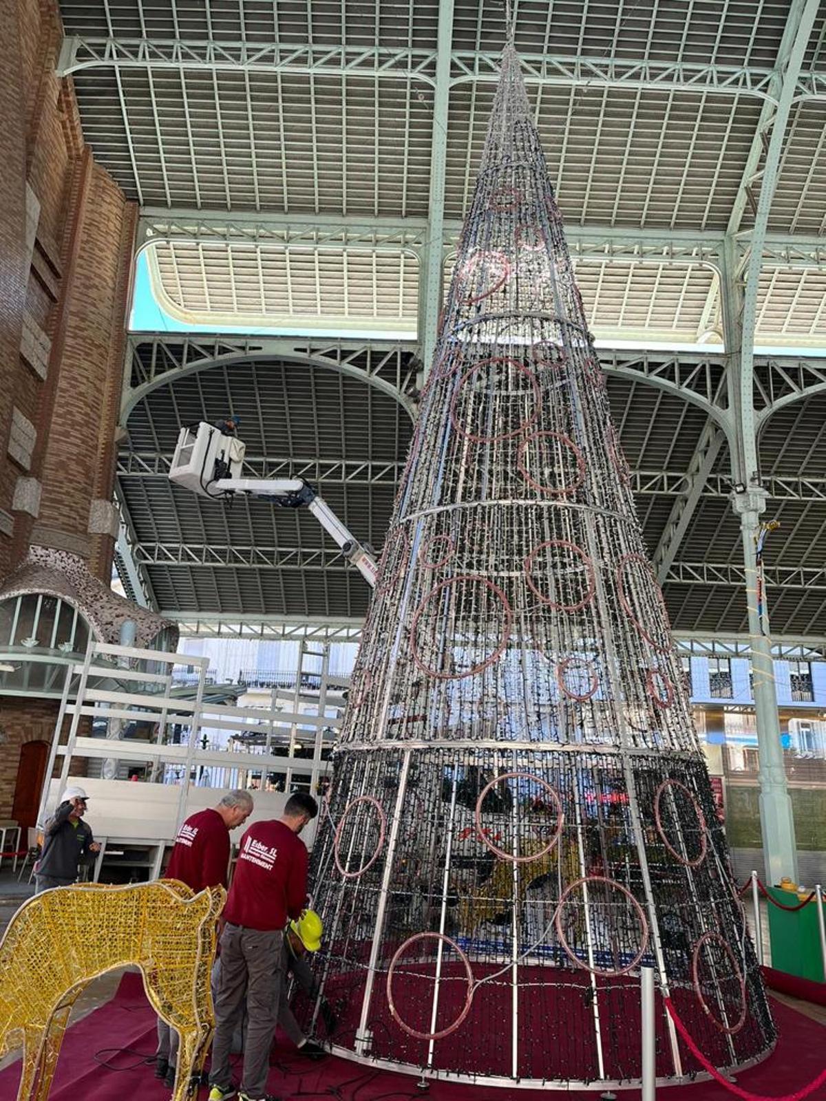 Valencia | El Mercado de Colón planta un nuevo árbol tras la caída