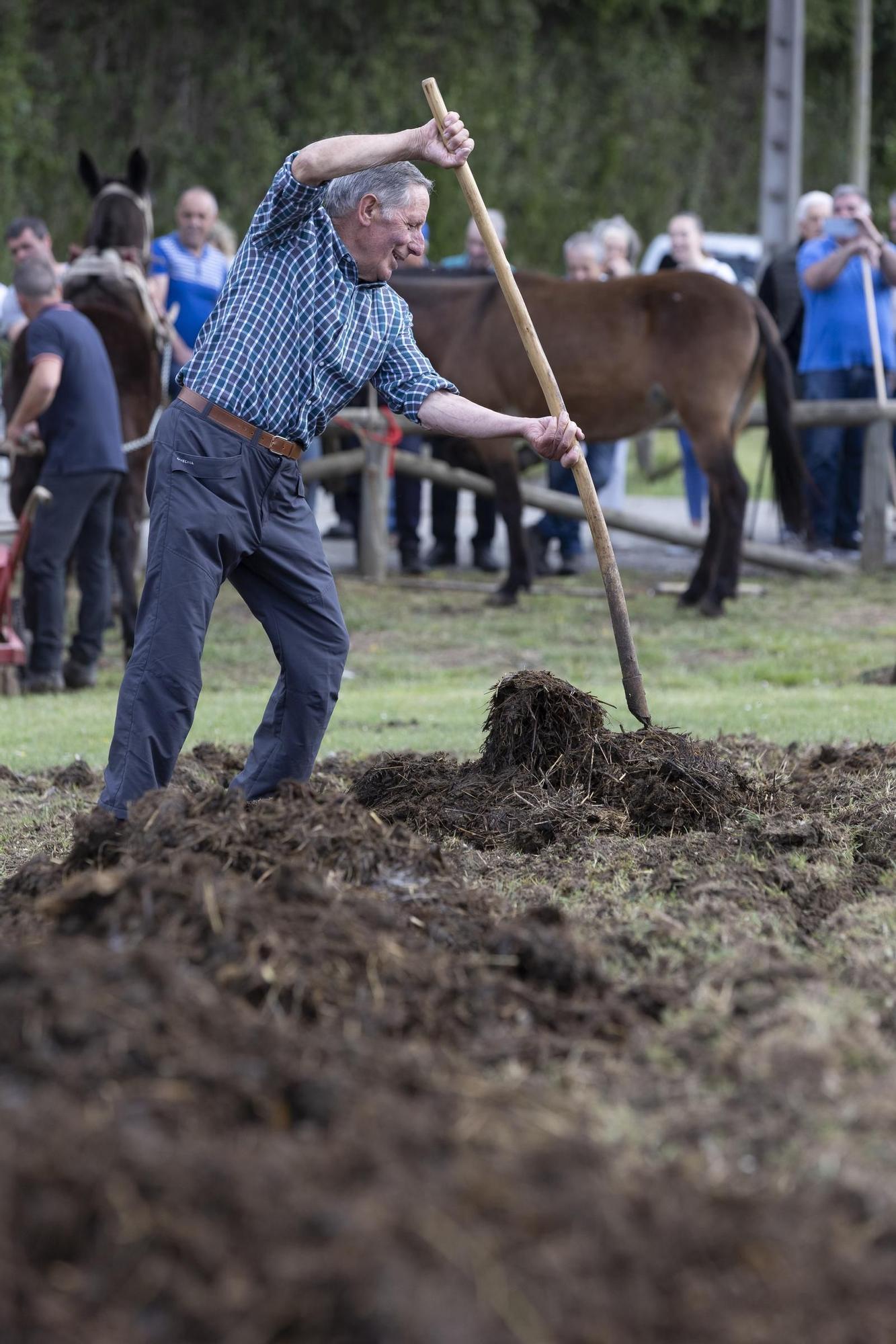 Llanera es un espectáculo: estas son las imágenes que deja la ...