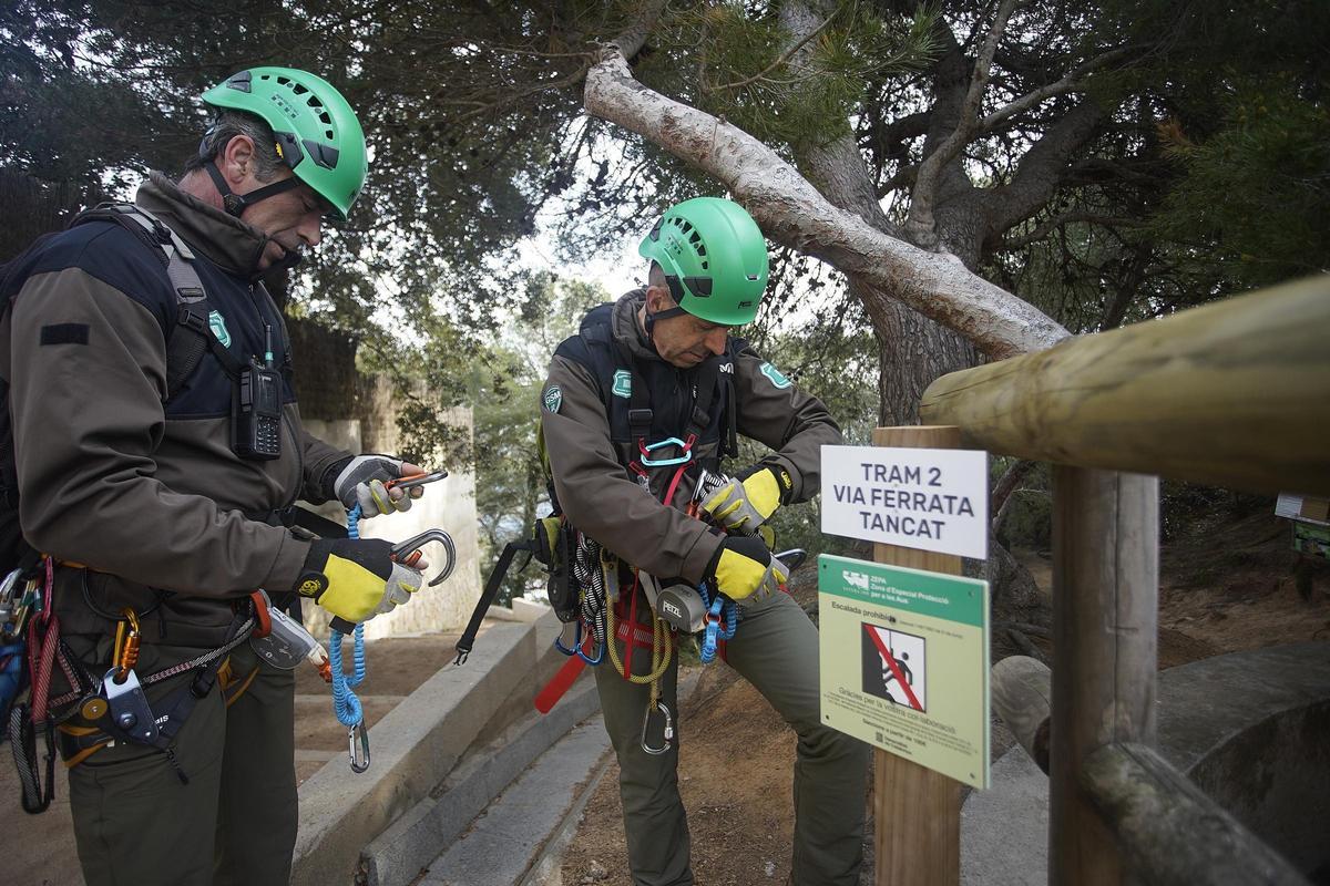 L’oci i la protecció d’una au conviuen a la Via Ferrada de Sant Feliu