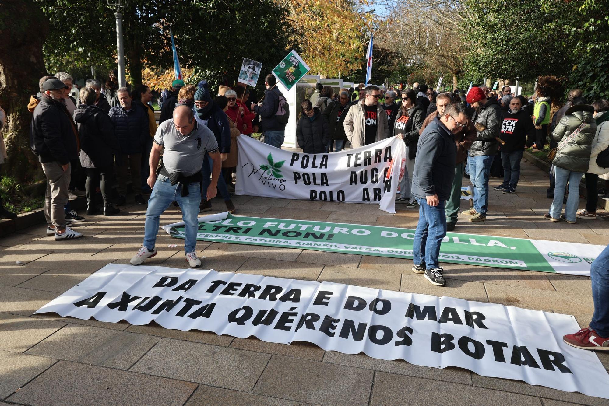 Manifestación en Santiago en contra del proyecto de Altri en Palas de ...