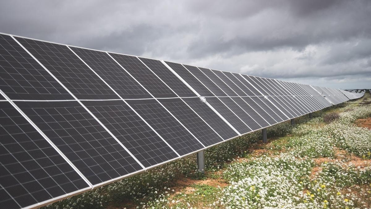 Osuna asegura que otros dos proyectos de hidrógeno verde quieren ...