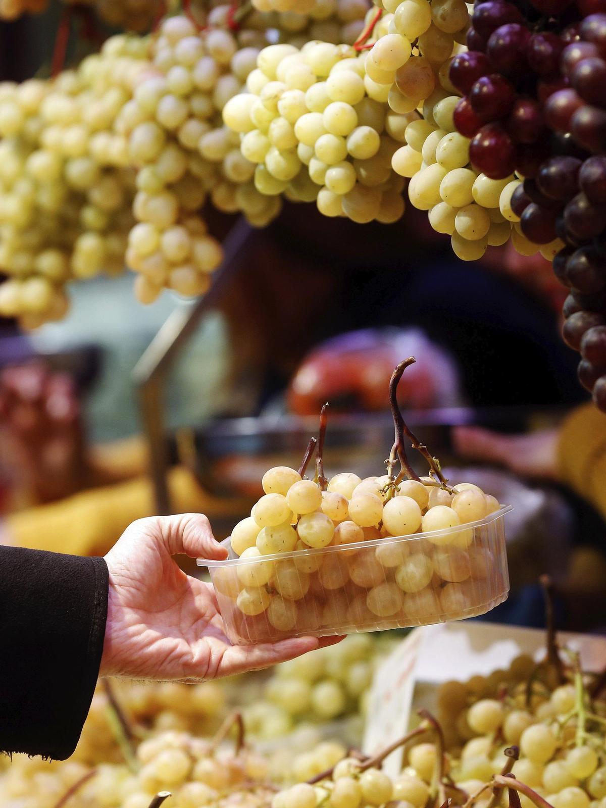 Fiesta, Tradition, and Pleasant Weather: Will You Miss Out?