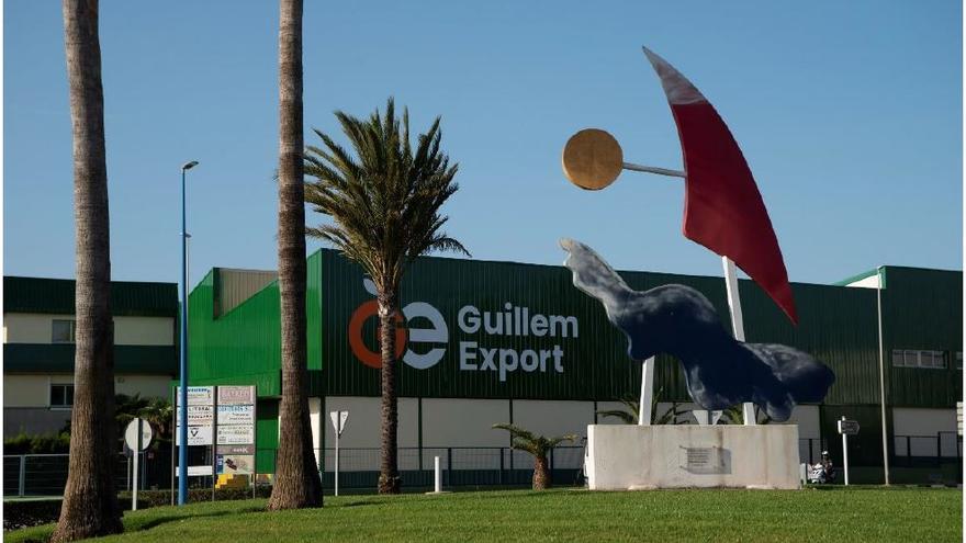 Nace un nuevo gigante citrícola en España: Frutas Tono y Guillem Export ...