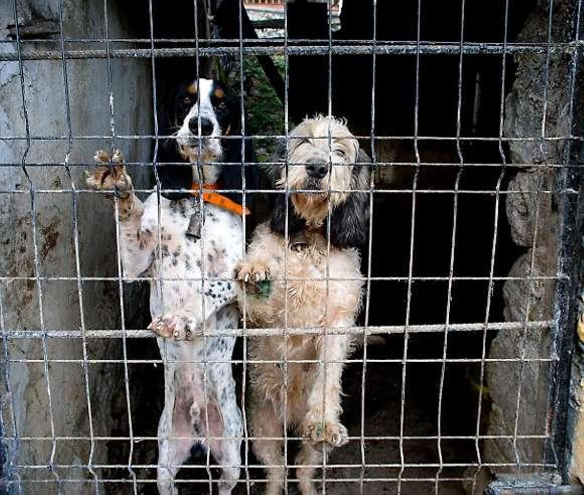 El más joven, cincuentón Pulide conserva ejemplos de arquitectura ...