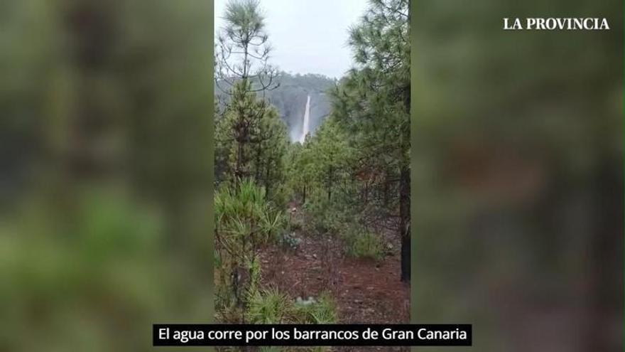 VÍDEO | El agua corre por los barrancos de Gran Canaria