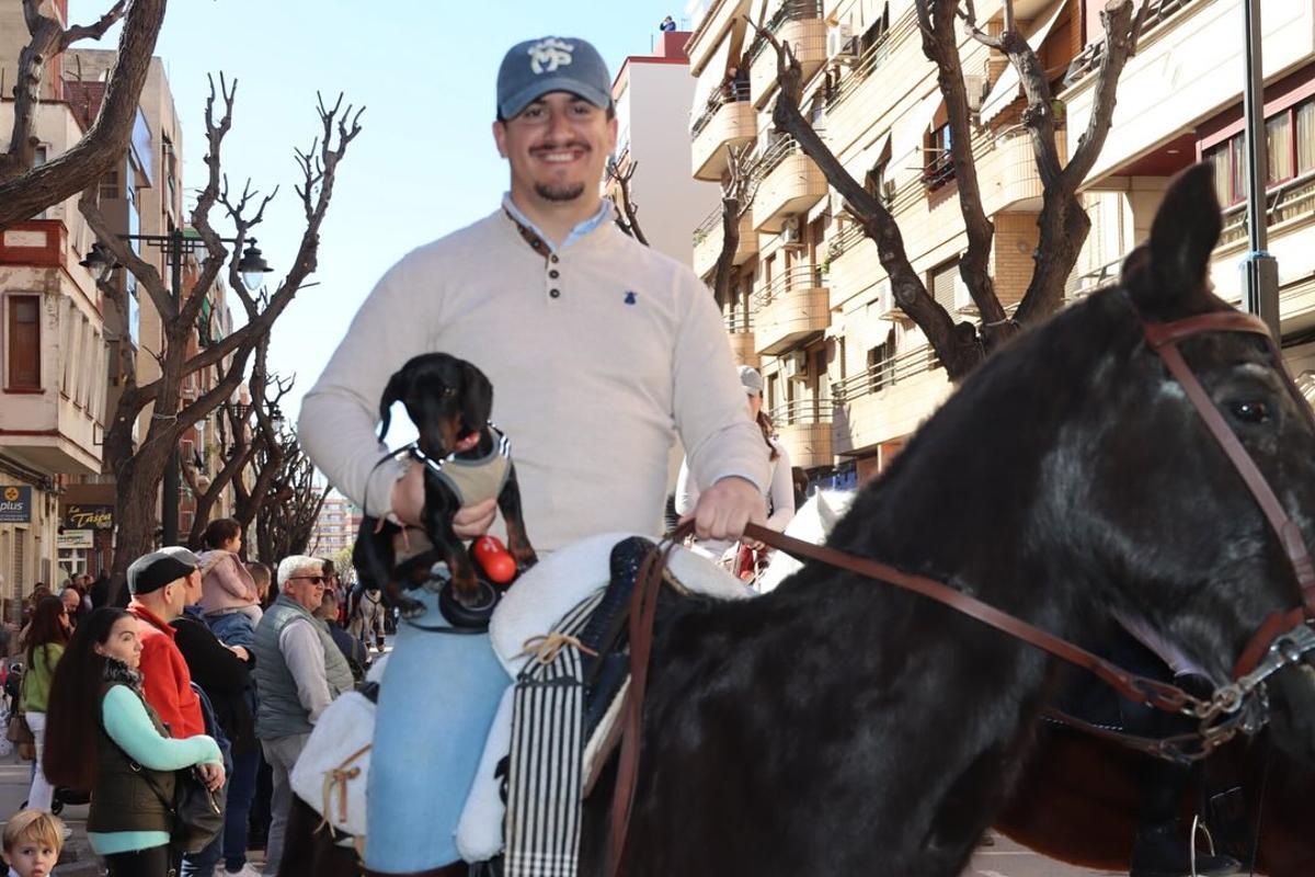 Bendición de animales en honor a Sant Antoni Abat en Torrent
