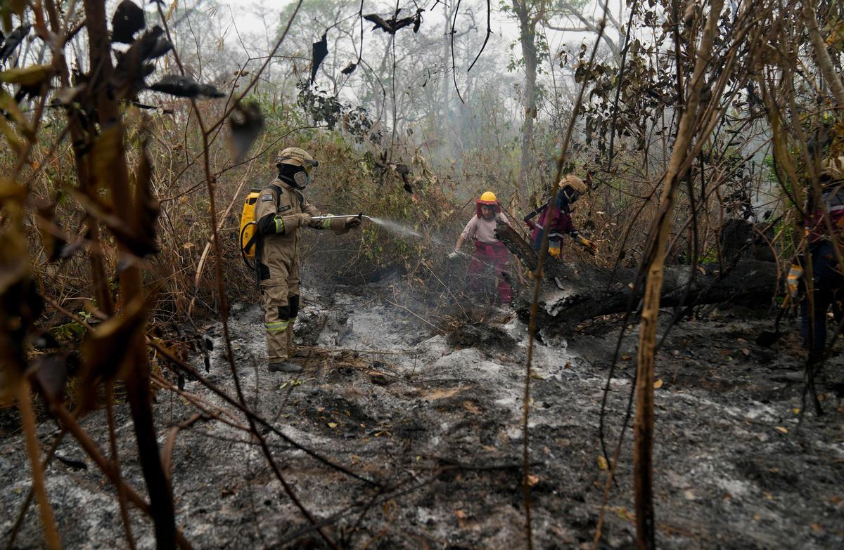 FOTOS |Incendios en Bolivia devastan una superficie del tamaño de Suiza ...