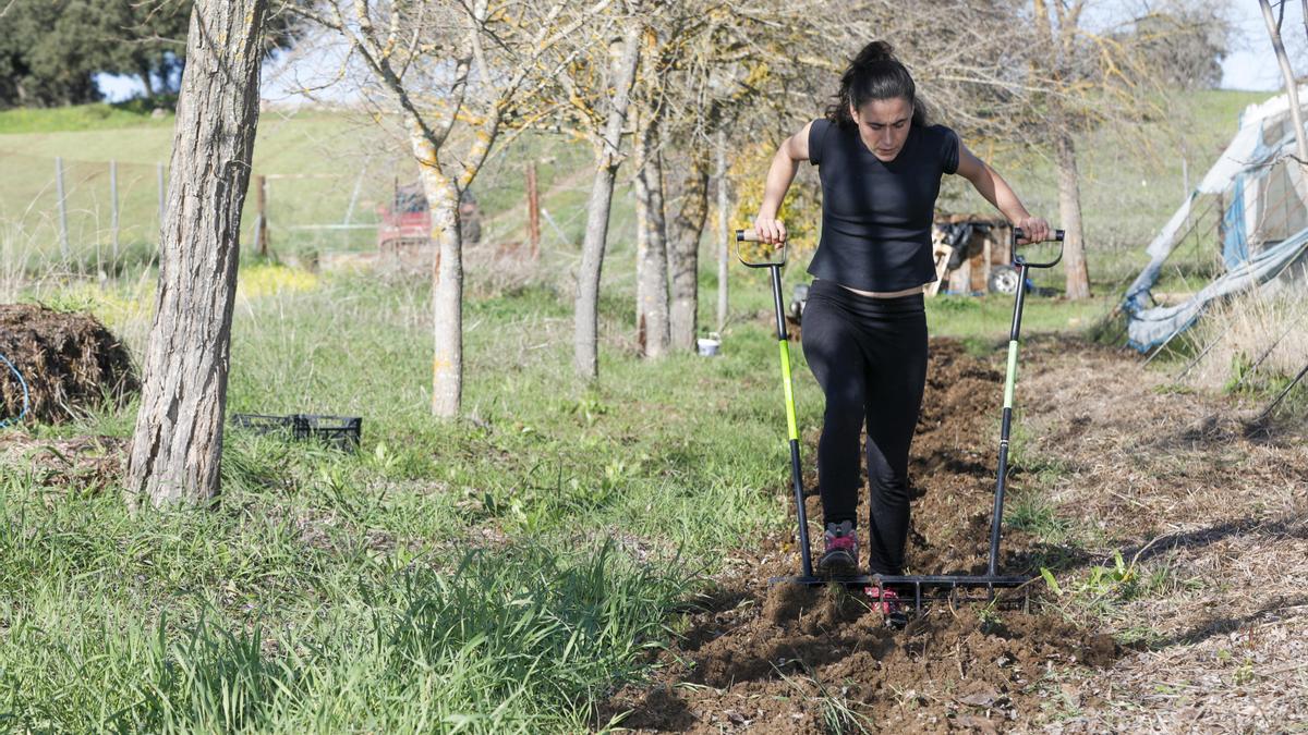 Sembrando agua: Una agricultura que funciona en la Amazonía y en la dehesa