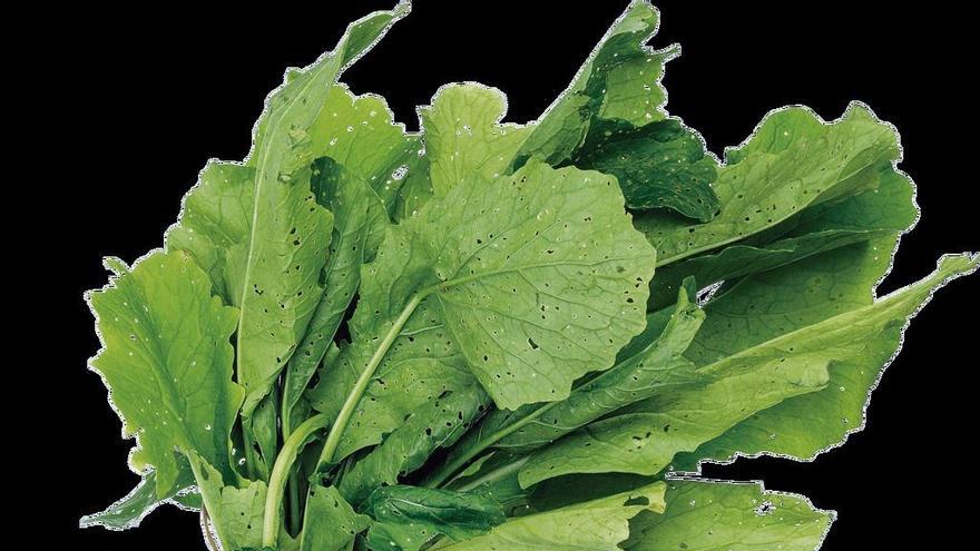 Nabo, raiz de la tierra