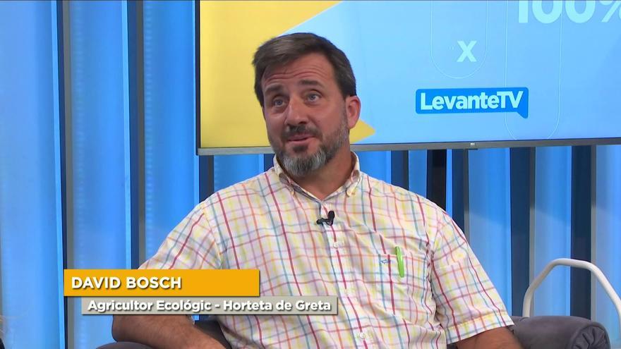 Valencians 100% - David Bosch
