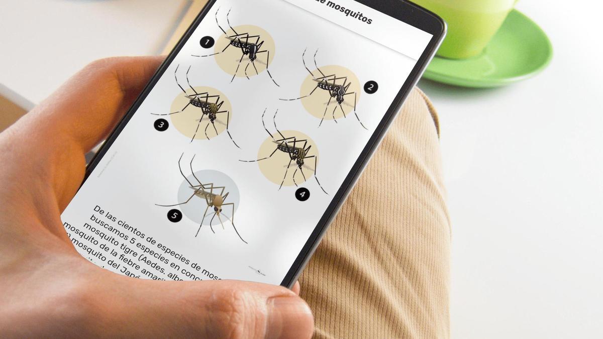MOSQUITOS VALENCIA | Crean una app que predice en tiempo real la ...