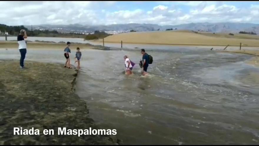 Riada en la playa de Maspalomas