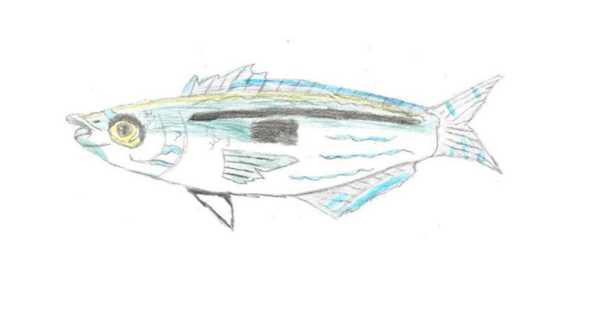 Eneko López y Pablo Torres ganan el concurso de dibujo infantil de la ...