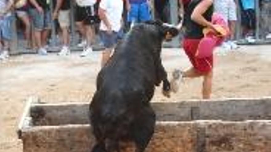 "Ramillero" hereda el mito del toro "Ratón"