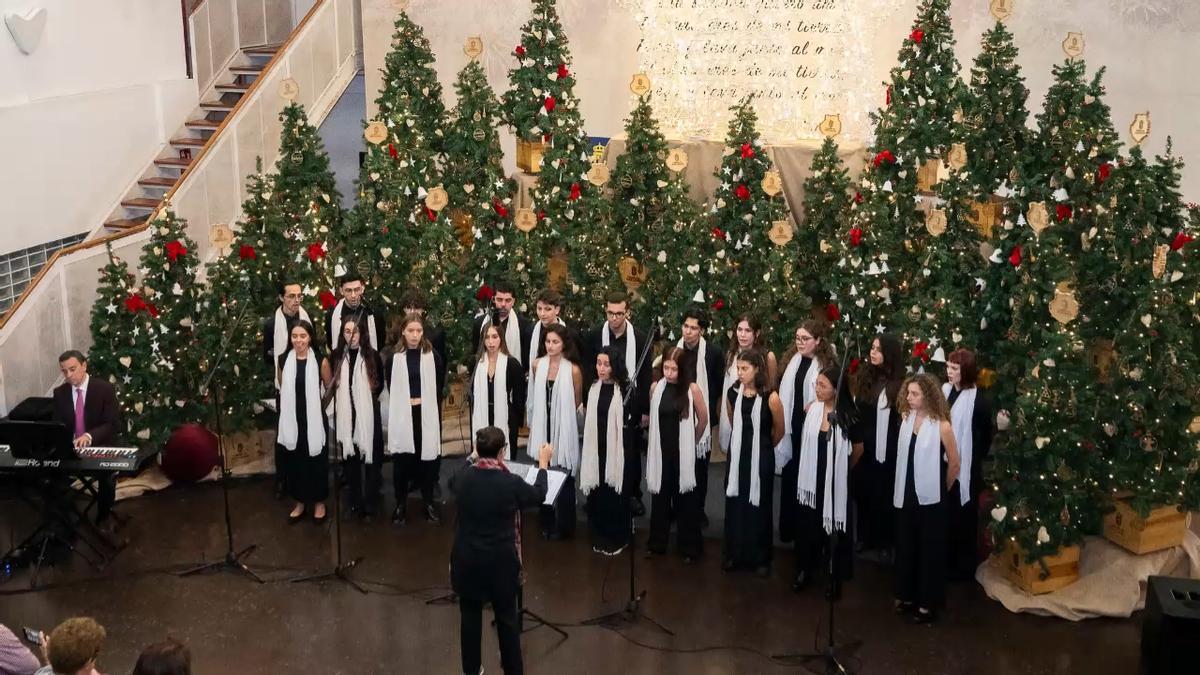 NAVIDAD GRAN CANARIA | El Cabildo ilumina la Navidad y presenta su ...