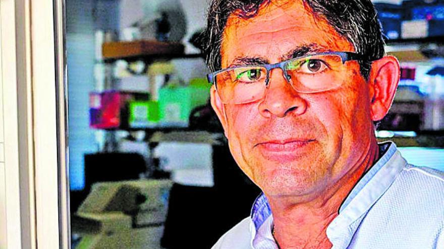 José B. Poveda Guerrero: "La listeria se activó por un cúmulo de fallos ...