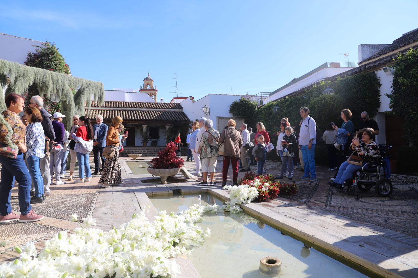 Flora 2024 despliega todo su encanto en Córdoba - Diario Córdoba