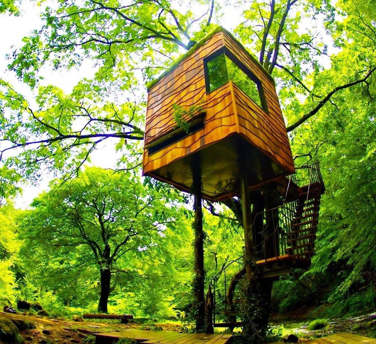 Las impresionantes casas árbol: así se sueña desde las alturas - Viajar