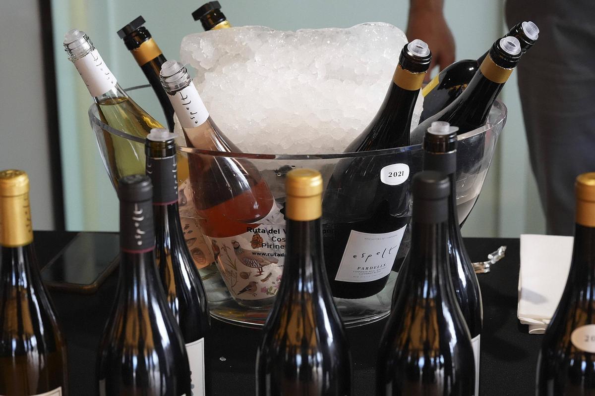 La mostra i tast de vins de la DO Empordà a l'Esperit Roca