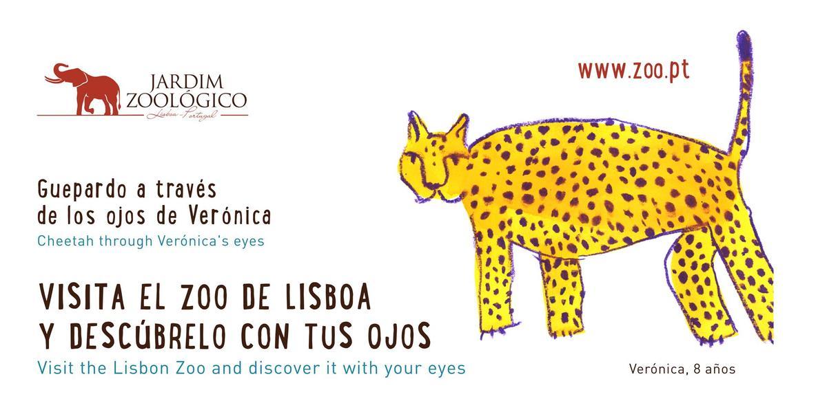 Explora el fascinante mundo animal en el Zoo de Lisboa - Viajar