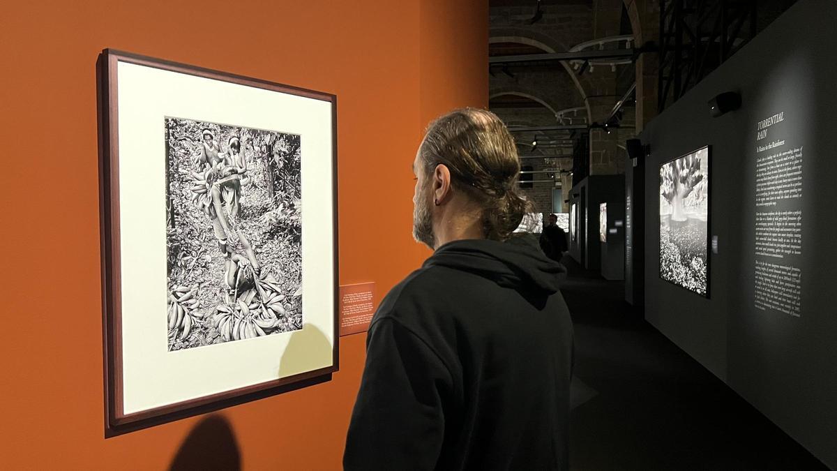 Exposición fotográfica 'Amazônia', de Sebastião Salgado, en Barcelona ...