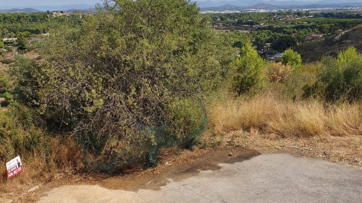 Residentes de Calicanto protestan por la falta de agua tras una rotura ...