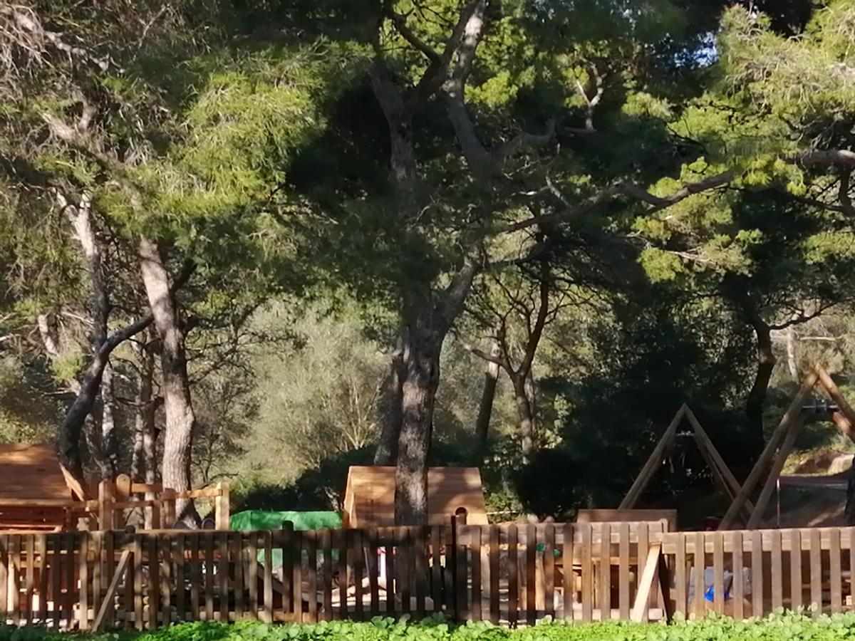 Recta final del parque de aventuras de Bellver - Diario de Mallorca