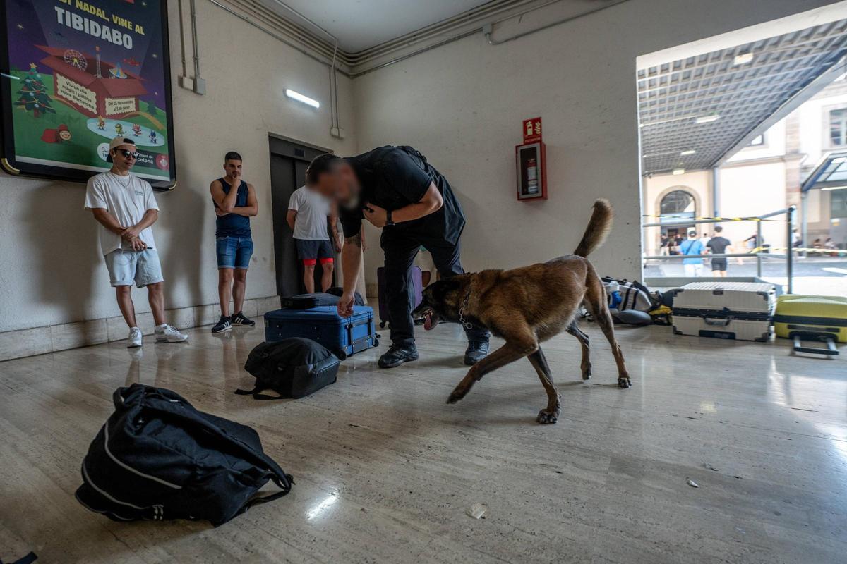 Dispositivo de la unidad canina de los Mossos en la estación del Nord de Barcelona para buscar ...