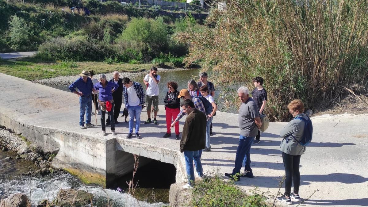 Un estudio constata las ilegalidades que degradan el tramo final del Serpis