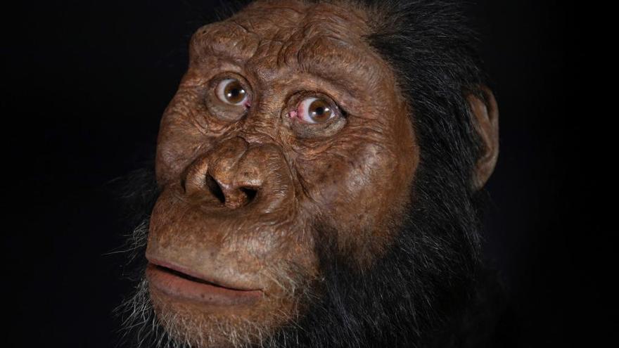 Hallan en Etiopía el cráneo de un antepasado del Homo Sapiens